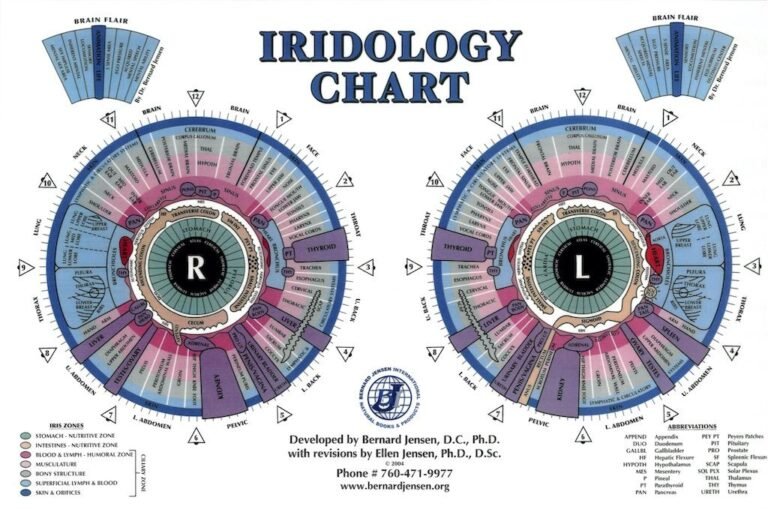 Mapa Del Iris En Iridología: Guía Autoritativa - Iriscopio, Iriscopio ...