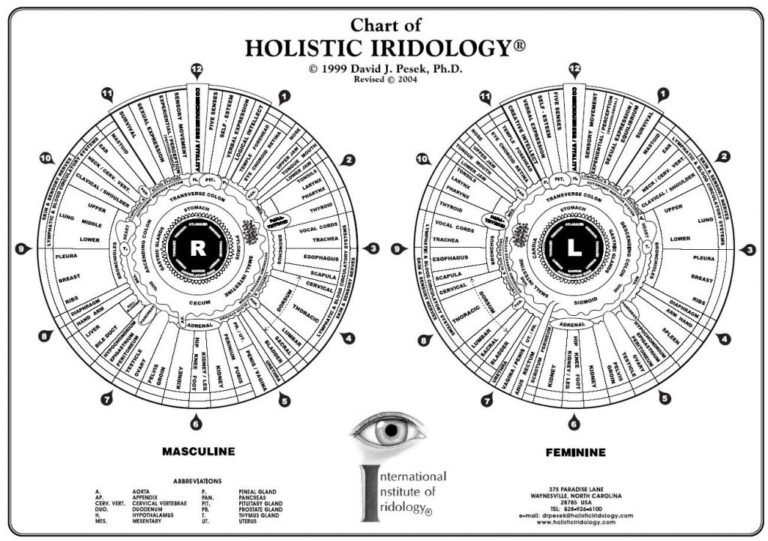 Mapa Del Iris En Iridología: Guía Autoritativa - Iriscopio, Iriscopio ...