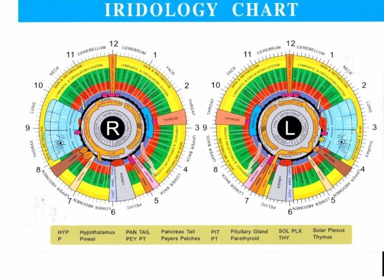 Mapa Del Iris En Iridología: Guía Autoritativa - Iriscopio, Iriscopio ...