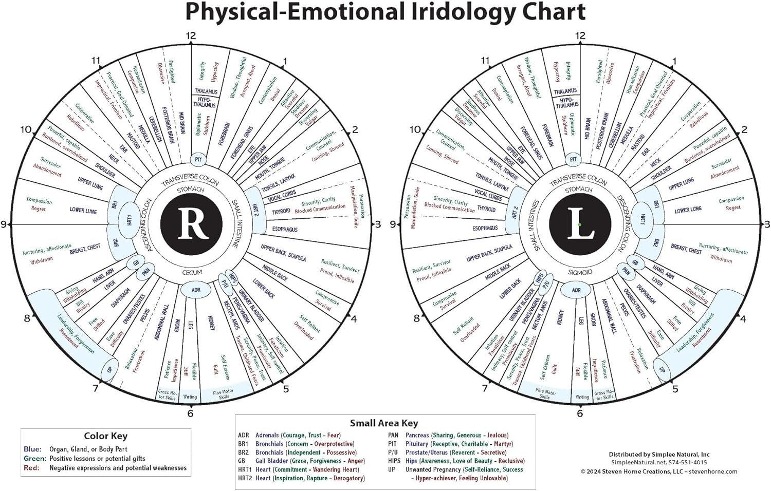 Mapa Iridologia - Iridología Mapa Del Ojo- Iridologia Mapa Del Ojo ...