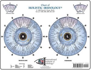 Mapa Iridología: Guía Completa Para Entender El Análisis Iridológico ...